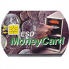 SmartCard - ESD Inc.